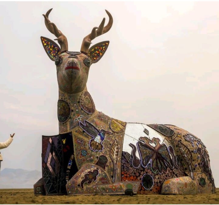 Kauyumari, el Venado Azul, regresa a Torreón y habitará en Puerto Noas