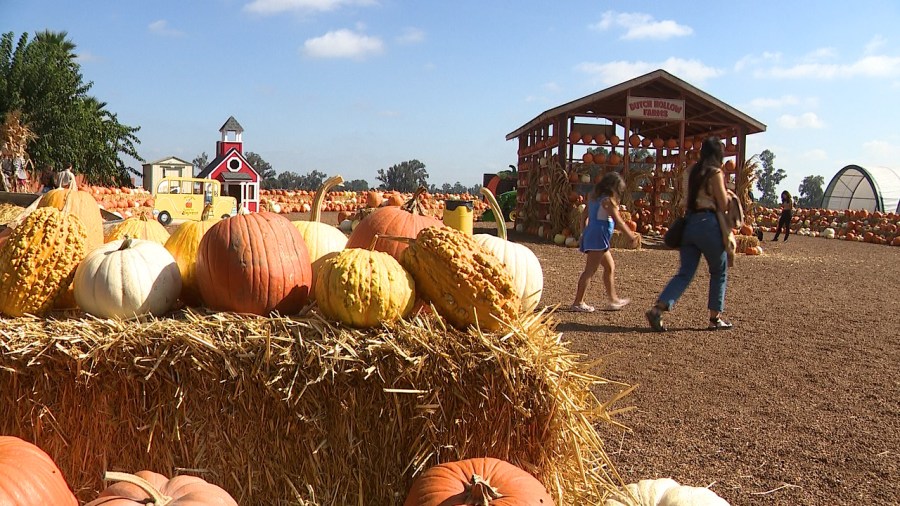Modesto’s Dutch Hollow Farms expects big turnout for fall activities