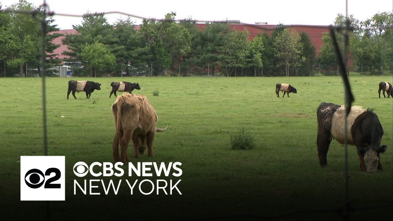 Eminent domain fight over New Jersey family farm ends after Murphy steps in