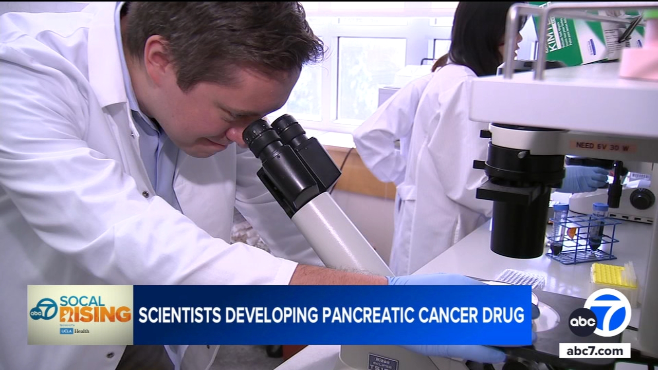 Local nonprofit's seed grants are fueling pancreatic cancer research at ...