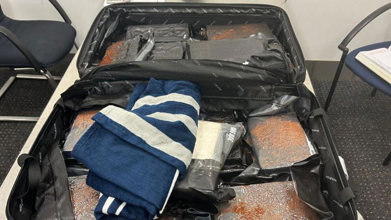Judge warns travellers after $4000 mistake