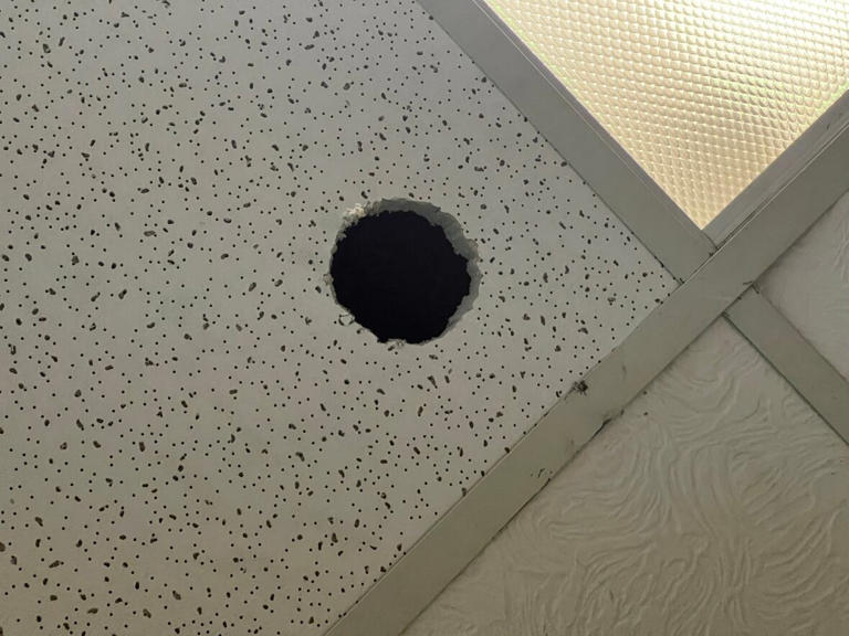 Winnipeg chiropractor pleads guilty to voyeurism after hidden cameras ...