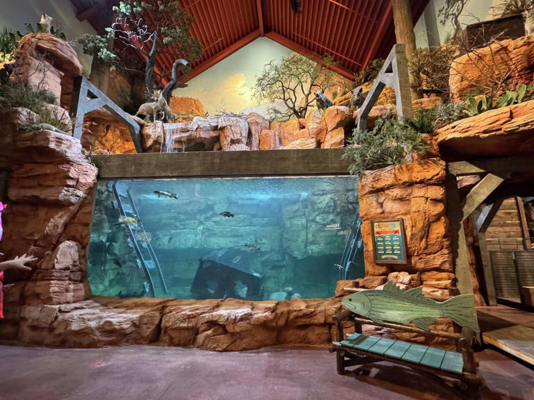 Take a look inside the new Bass Pro Shops in Odessa