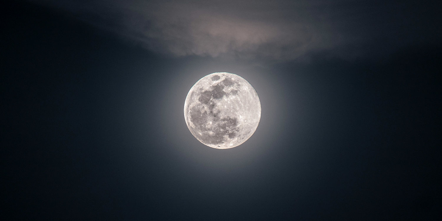 Does Earth Really Have 2 Moons? Astronomy Expert Explains