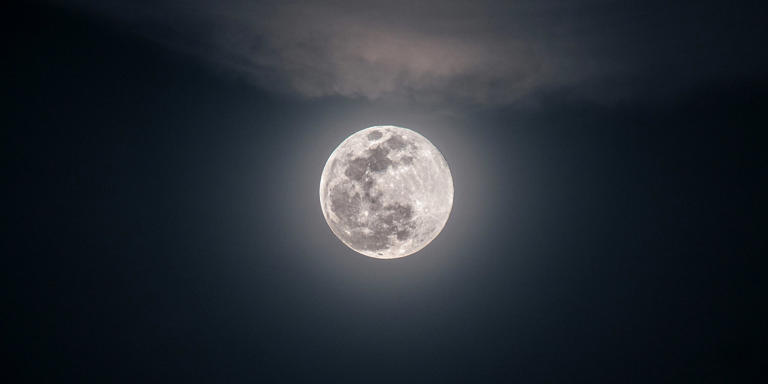 Does Earth Really Have 2 Moons? Astronomy Expert Explains