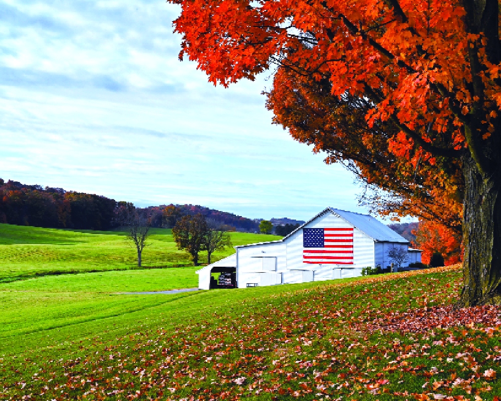 How green are American fields?