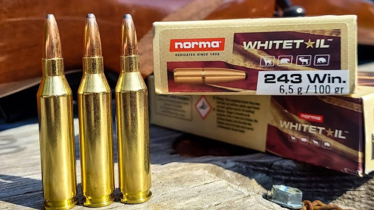 Calibers guides secretly wish hunters would stop bringing