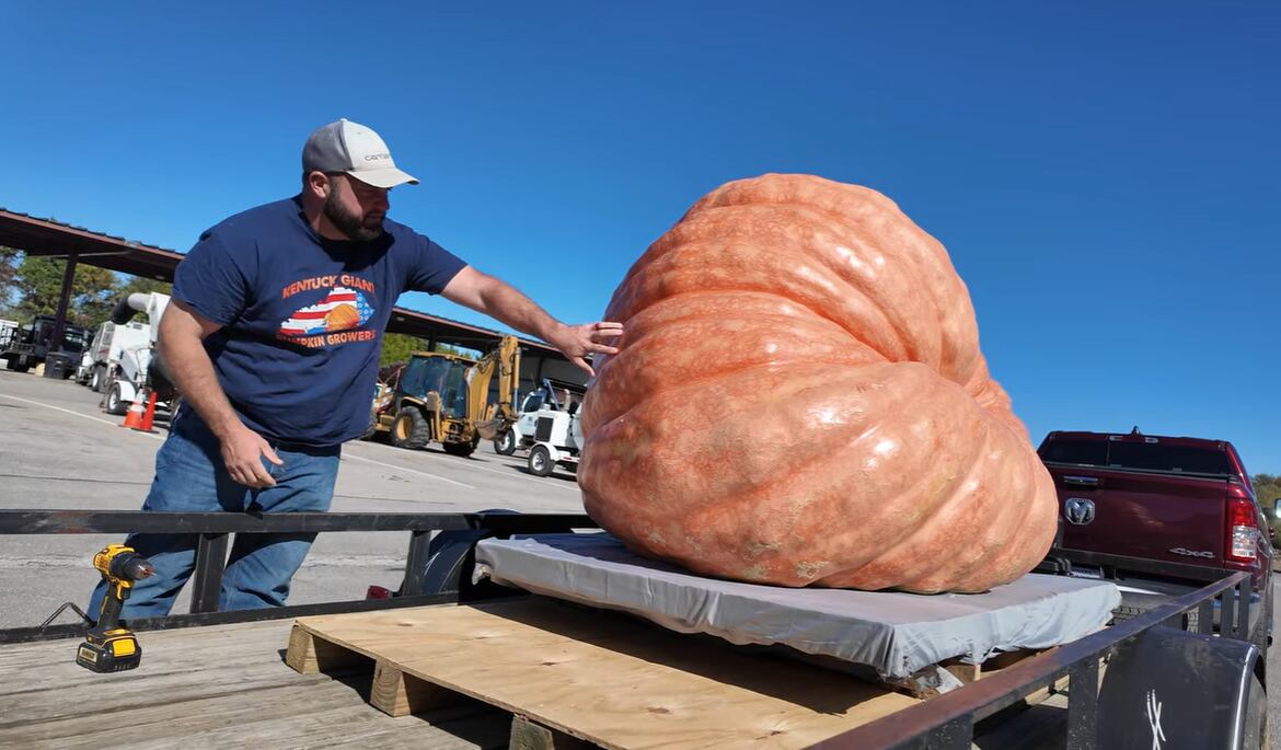 Spike the giant pumpkin arrives in Franklin for this weekend’s Pumpkinfest