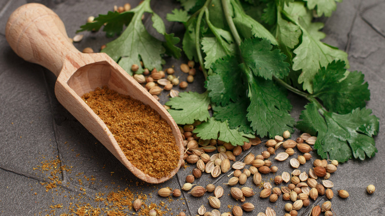 What Is Coriander, And What Does It Have To Do With Cilantro?