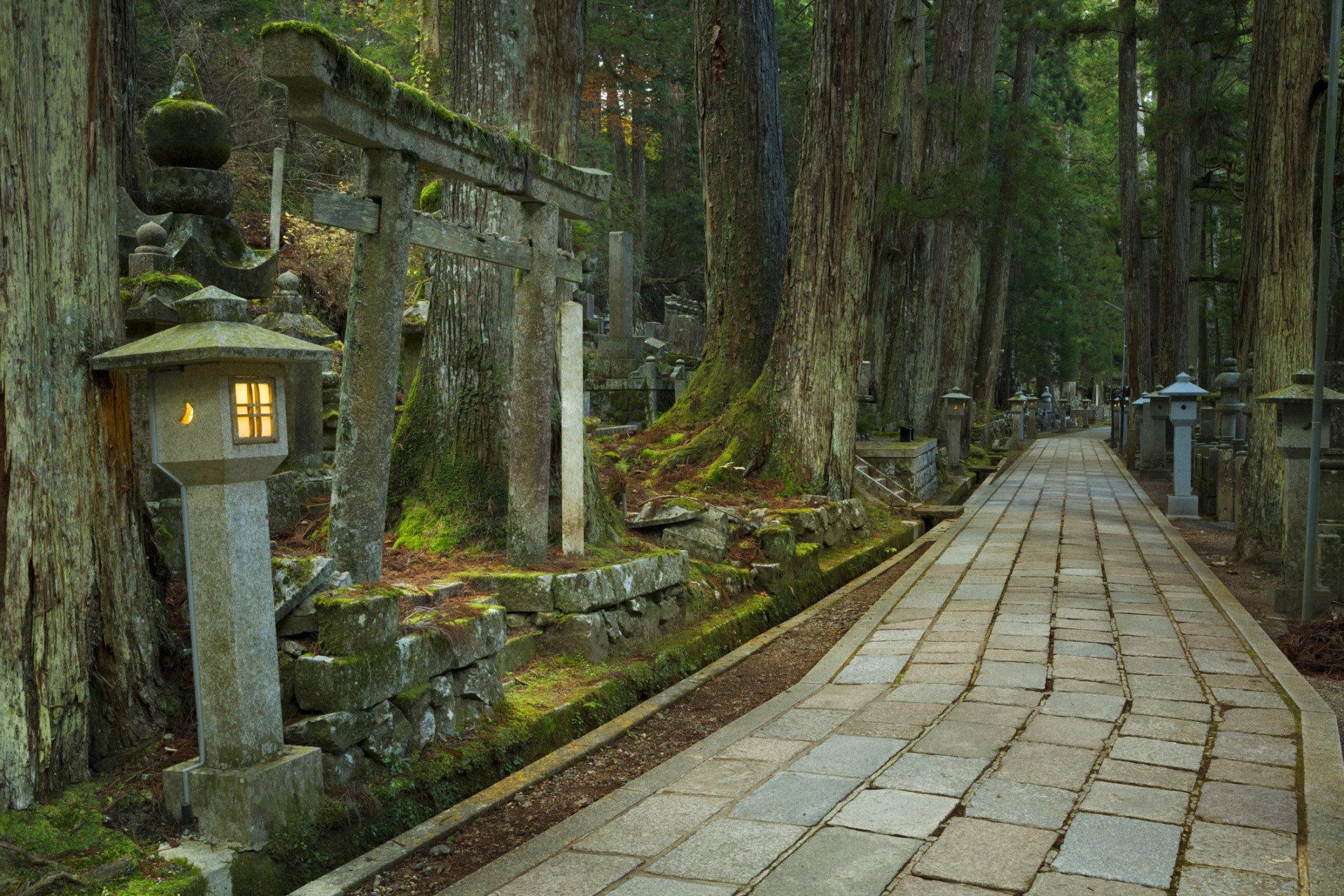 The creepiest cemeteries in the world