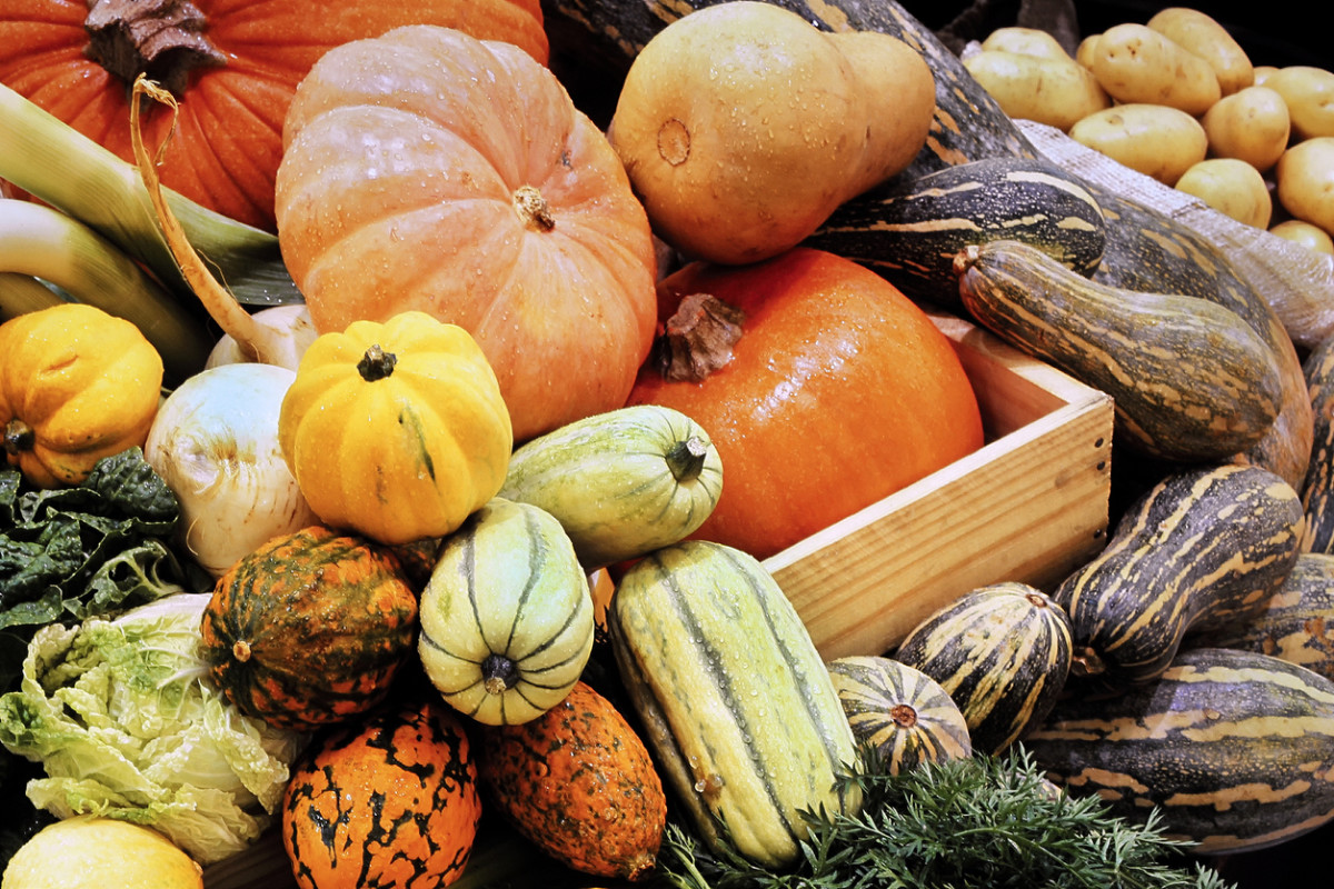 Is Squash a Fruit or a Vegetable? Let’s Break It Down for Once and for All