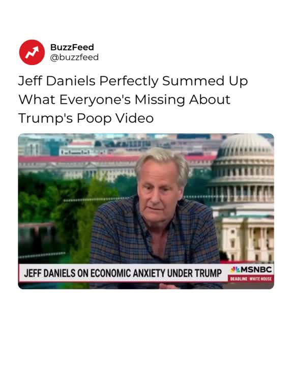 Jeff Daniels Perfectly Summed Up What Everyone's Missing About Trump's ...