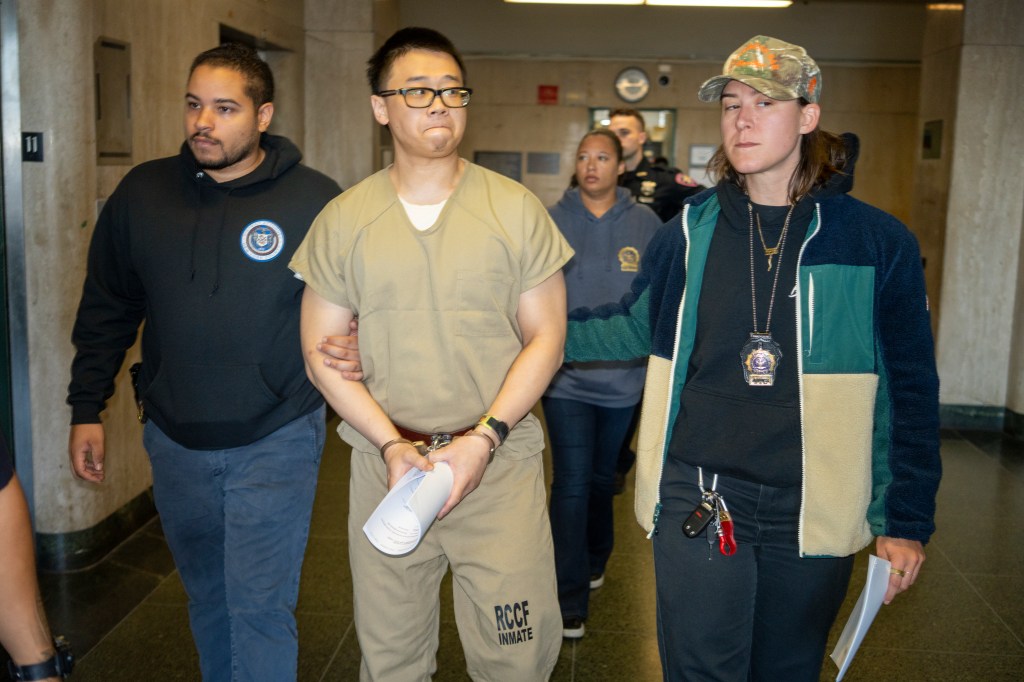 Mastermind behind massive dark web drug-peddling scheme learns fate ...