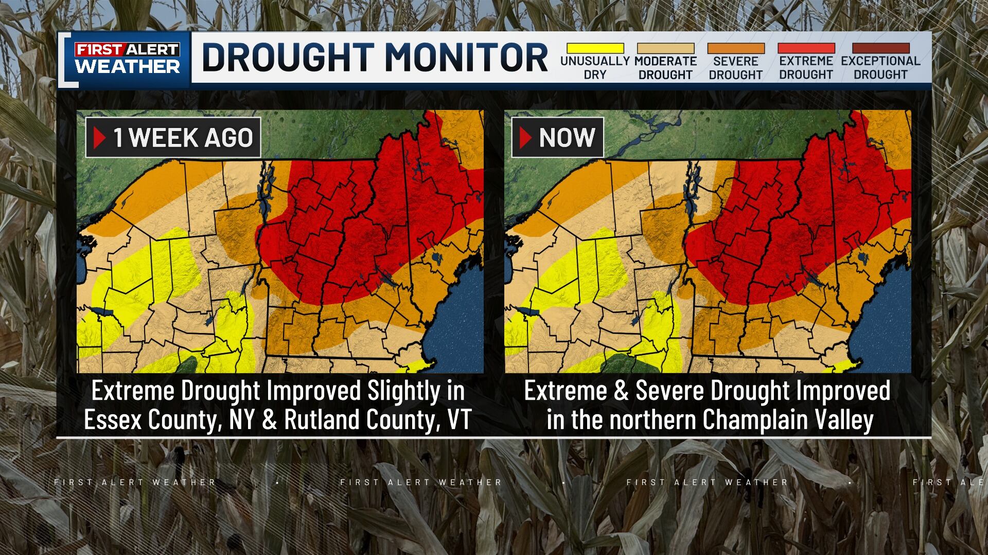 Extreme drought persists for most areas despite recent rain