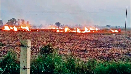 Punjab farm fire tally crosses 500 mark; 31 fresh FIRs registered