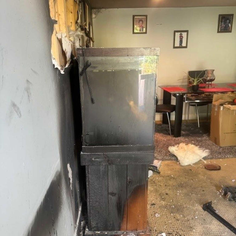 Fish Tank Sparks Fiery Scene Inside Maryland Basement Blaze, Officials ...