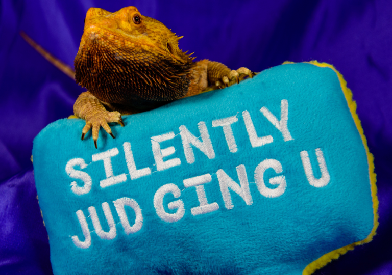 35 Funny Teams Backgrounds To Lighten the Mood for Your Next Meeting