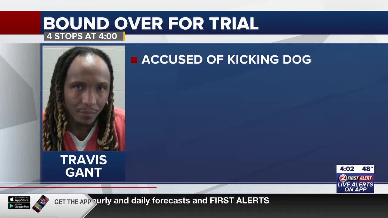 Man accused of kicking dog in Oshkosh now bound for trial