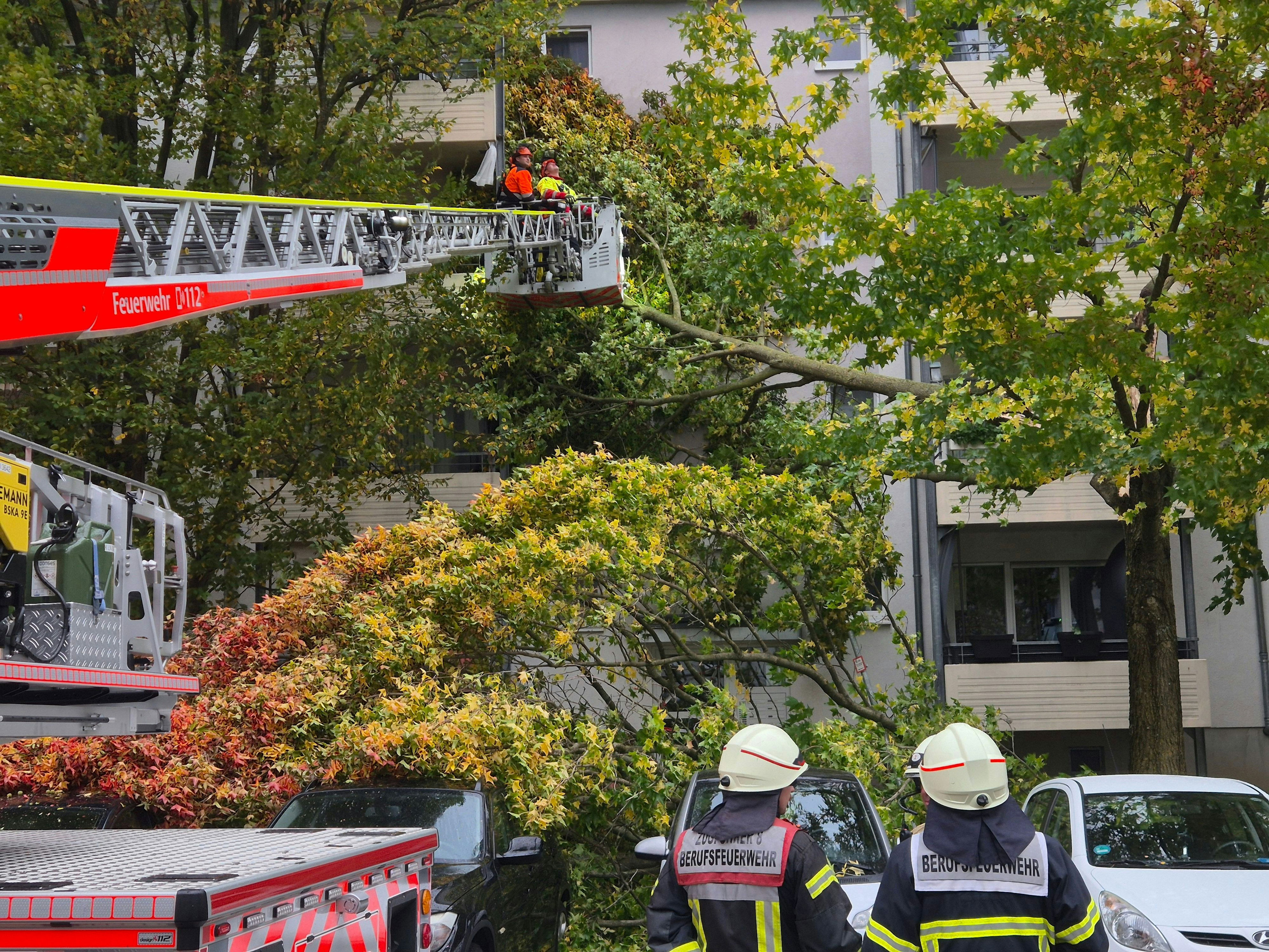 Bilanz nach heftigem Sturm: Baum kracht in Köln gegen ein Haus