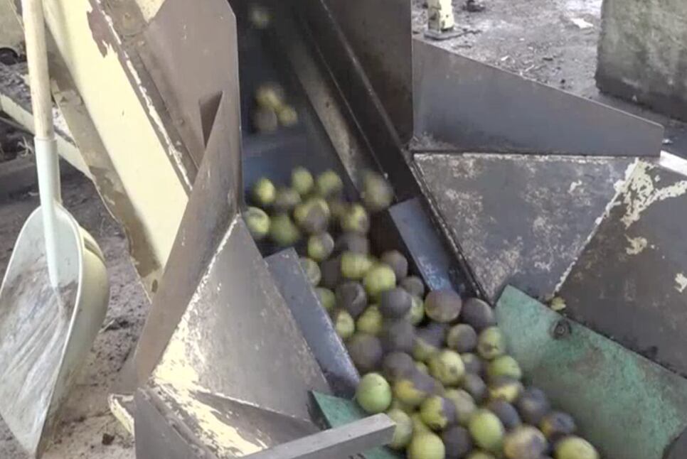 Hammons Black Walnuts extends the opening of its hulling stations