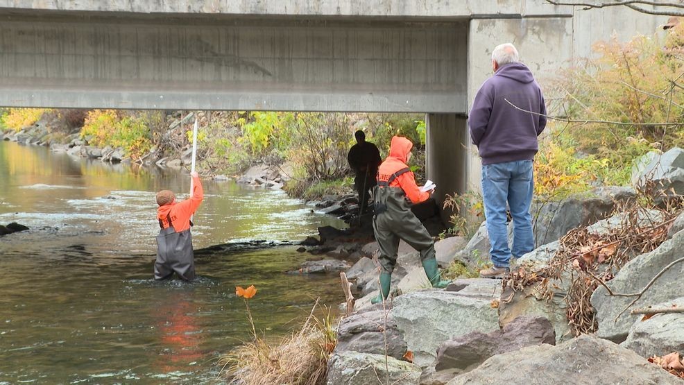 Nonprofit and volunteers analyze Bowman Creek
