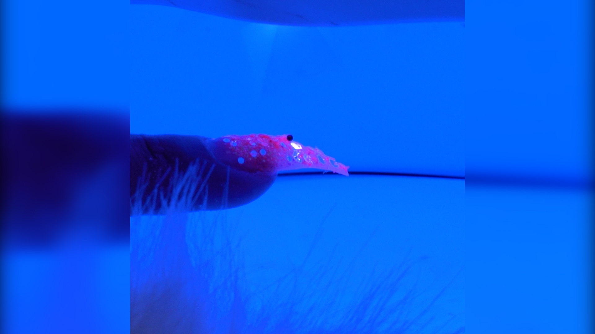 Explore New Chic Nail Shapes