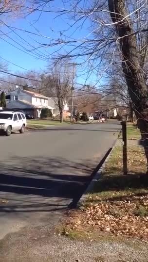 Motorcycle Ride Up Truck Ramp Fail