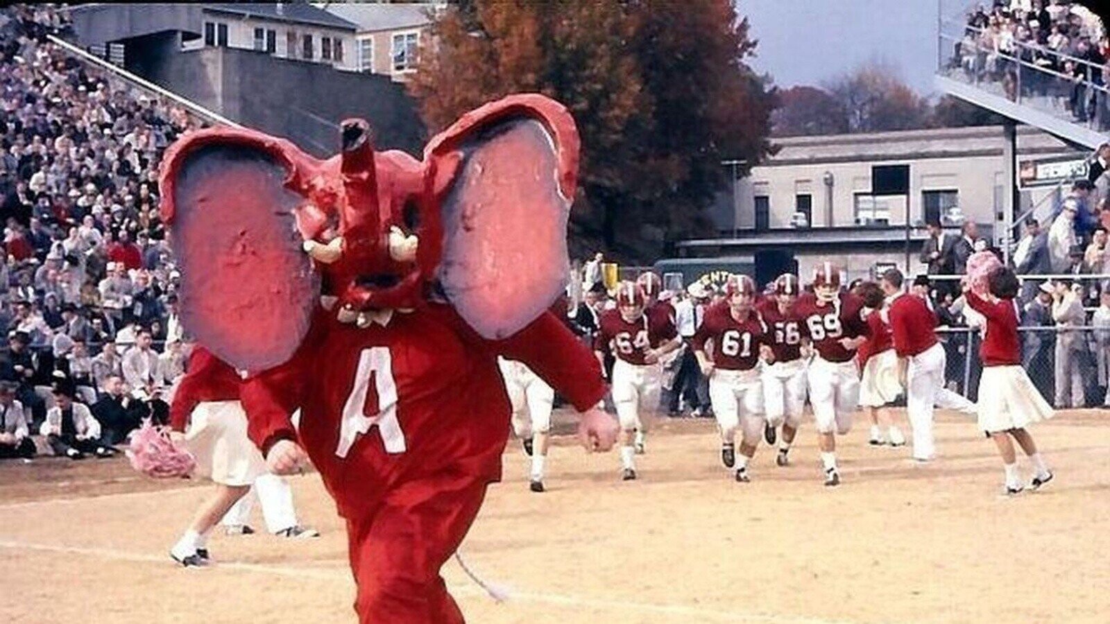 Scary Old Sports Mascots to Keep Away From My Kids