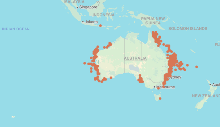 Tourist's death from 'harmless' sharks highlights simple actions that ...