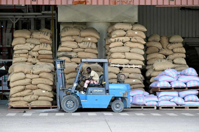 Ivorian brothers dream of transforming cocoa industry