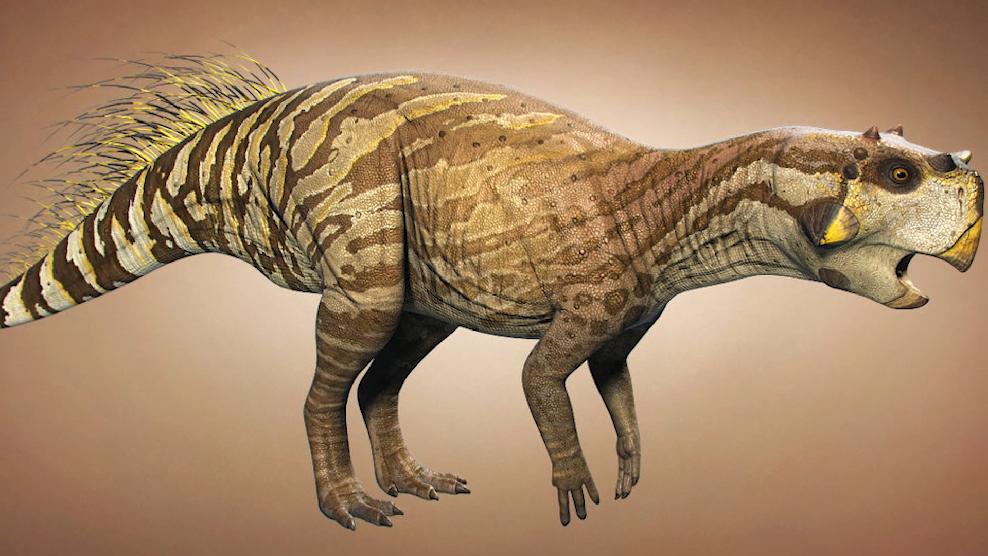 What the Yixian Fossils Reveal About the Dawn of Modern Birds