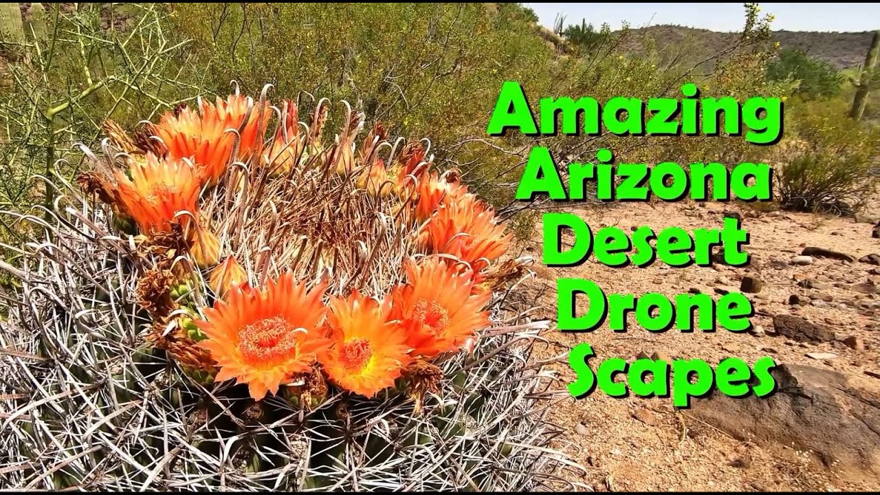 Desert Dronescapes: Stunning Aerial Views of Southern Arizona