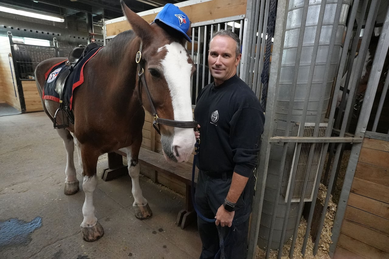 Ever wonder what the Toronto police mounted unit does? We take a sneak ...