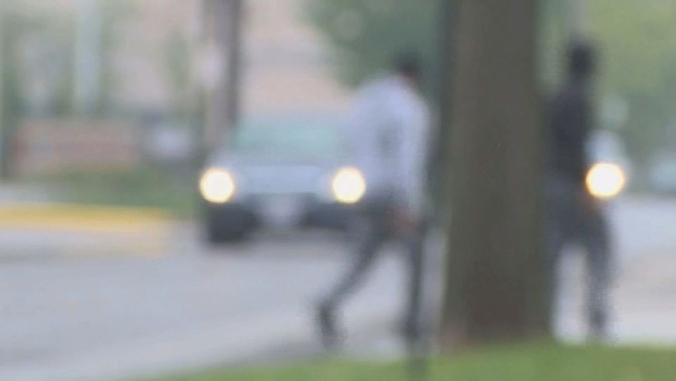 Human trafficking in Michigan: Lawmakers launch bipartisan push for ...