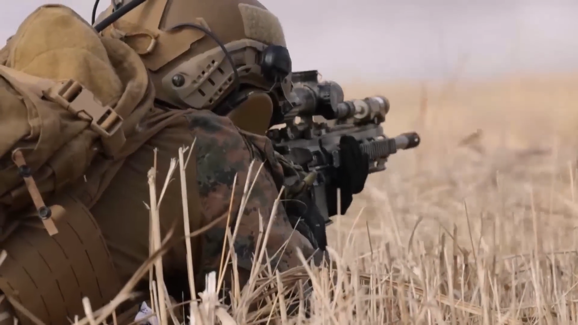 Every U.S. Marine Corps Special Operations Unit Explained
