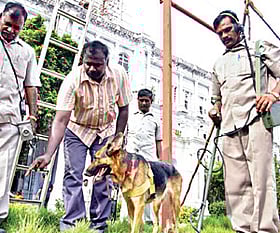 TN police to boost narcotic sniffer dog squad by inducting 35 dogs