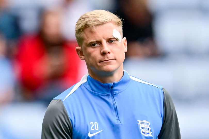 Birmingham City have a 'low maintenance diamond' that plays through ...