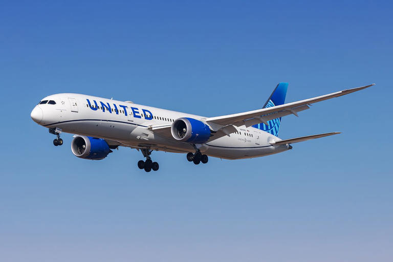 United Airlines employee claims company fired him mid-chemo session for ...