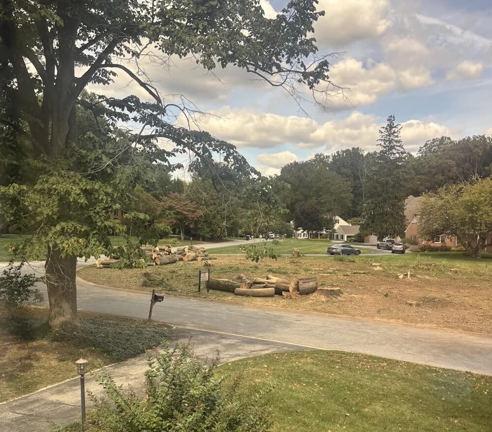 Homeowner shocked over new neighbors' sudden destructive act: 'Honestly ...