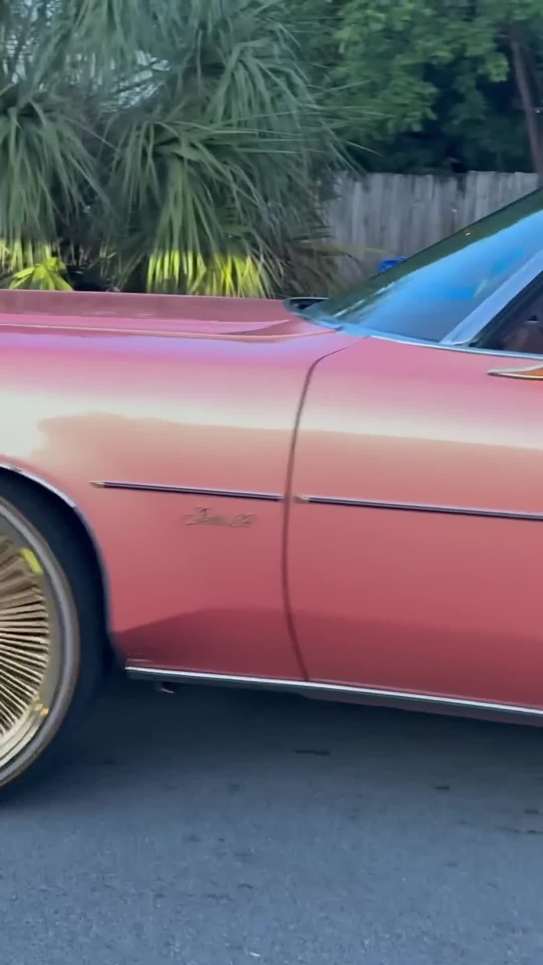 Oldsmobile Delta-88 on Gold 24’s Daytons Riding