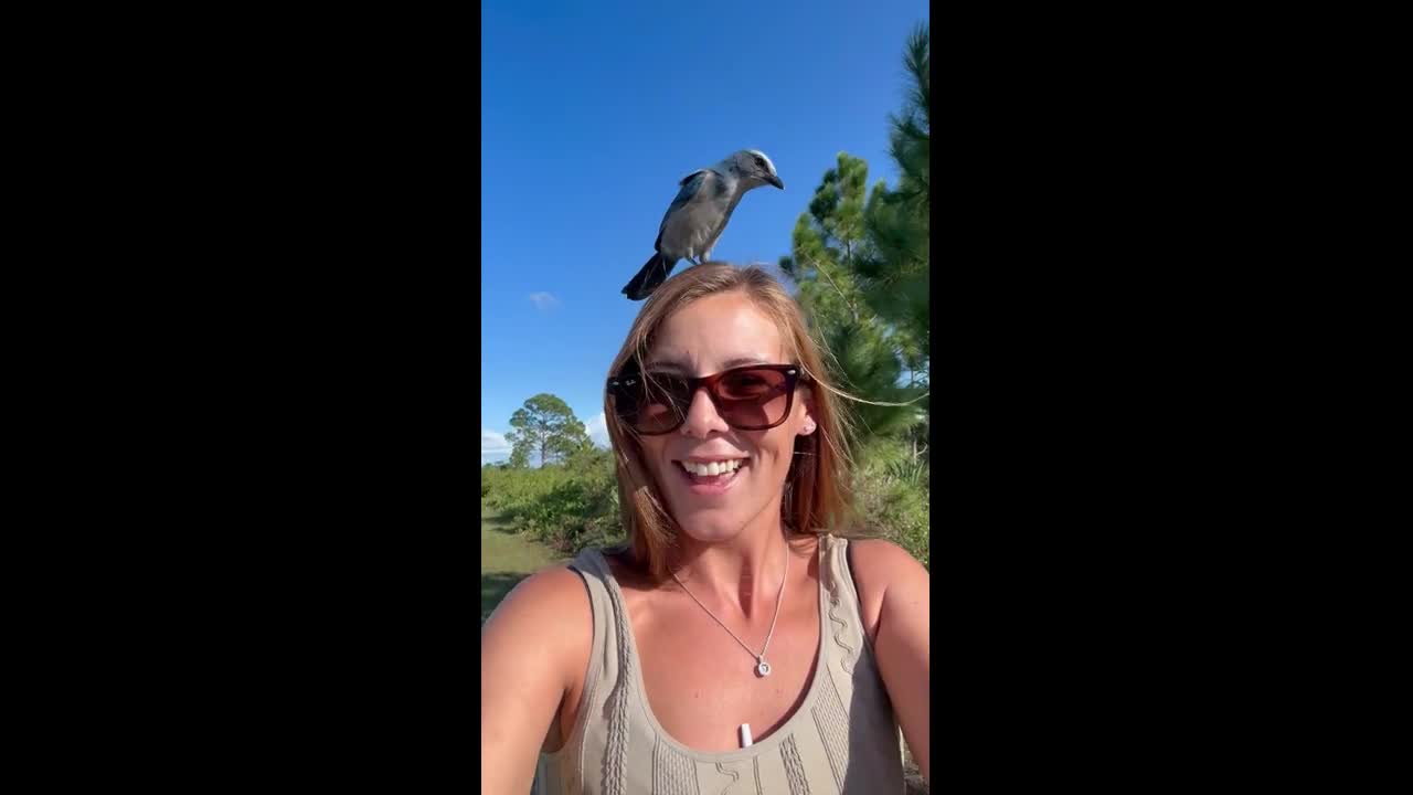Bird playfully perches on woman’s head in Rockledge, Florida, USA