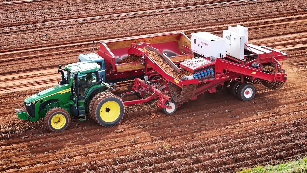 Potato growers adding irrigation after drought shrunk the 2025 crop in ...