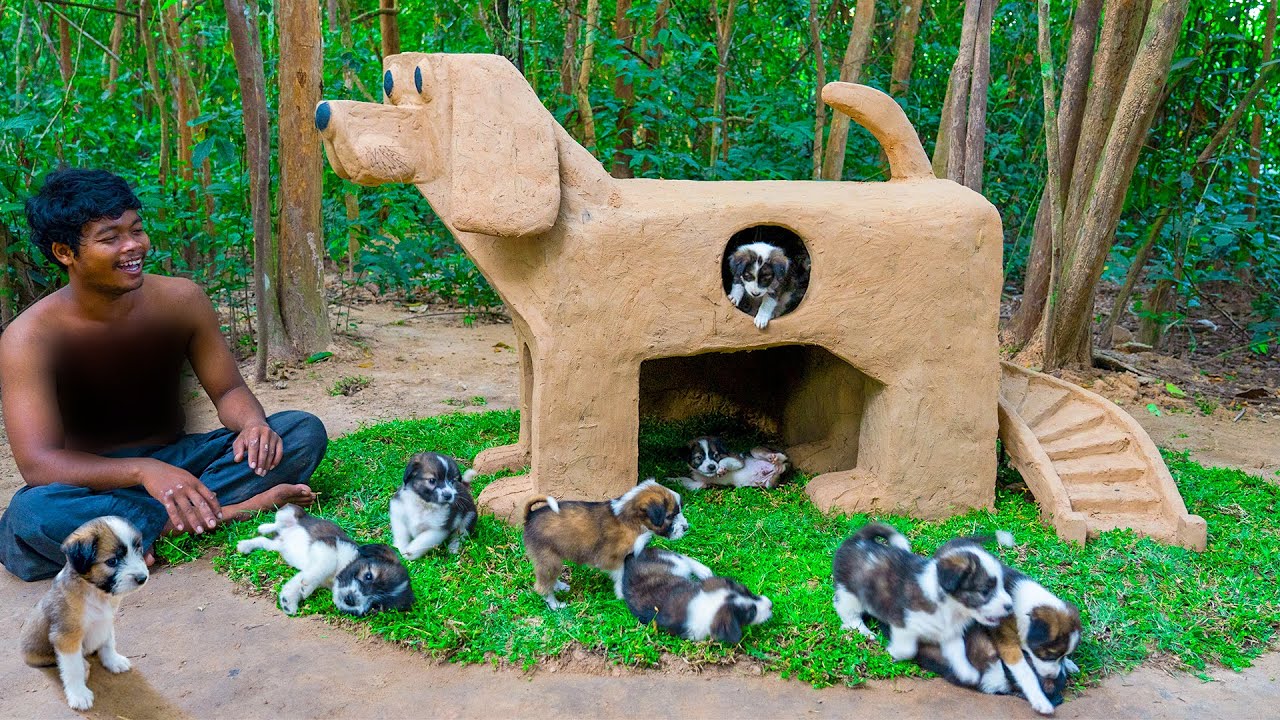 Building a mud dog house for my one month old rescued puppies in the ...