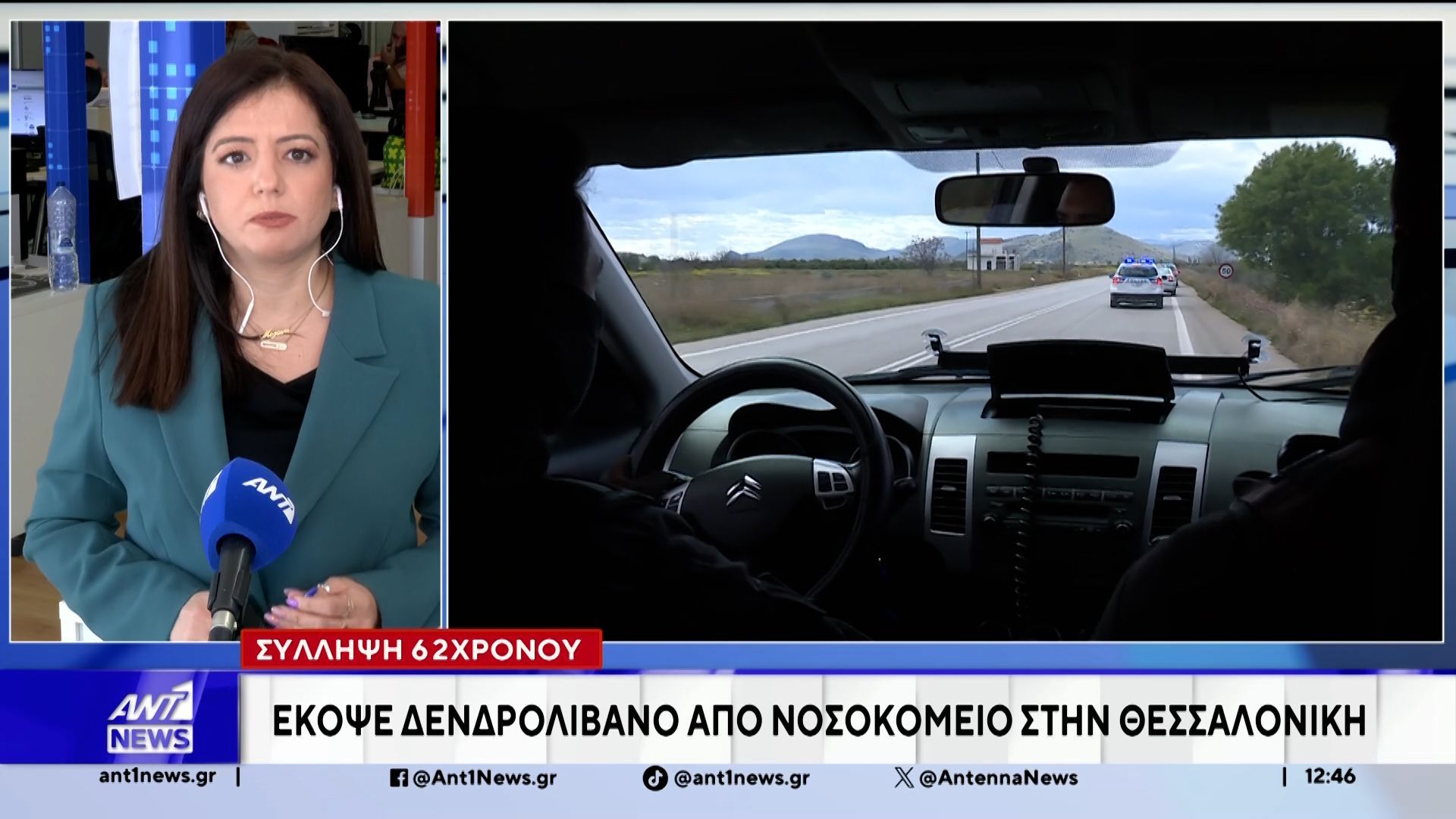 Θεσσαλονίκη: Συνελήφθη 62χρονος που έκοψε κλωνάρι από δενδρολίβανο