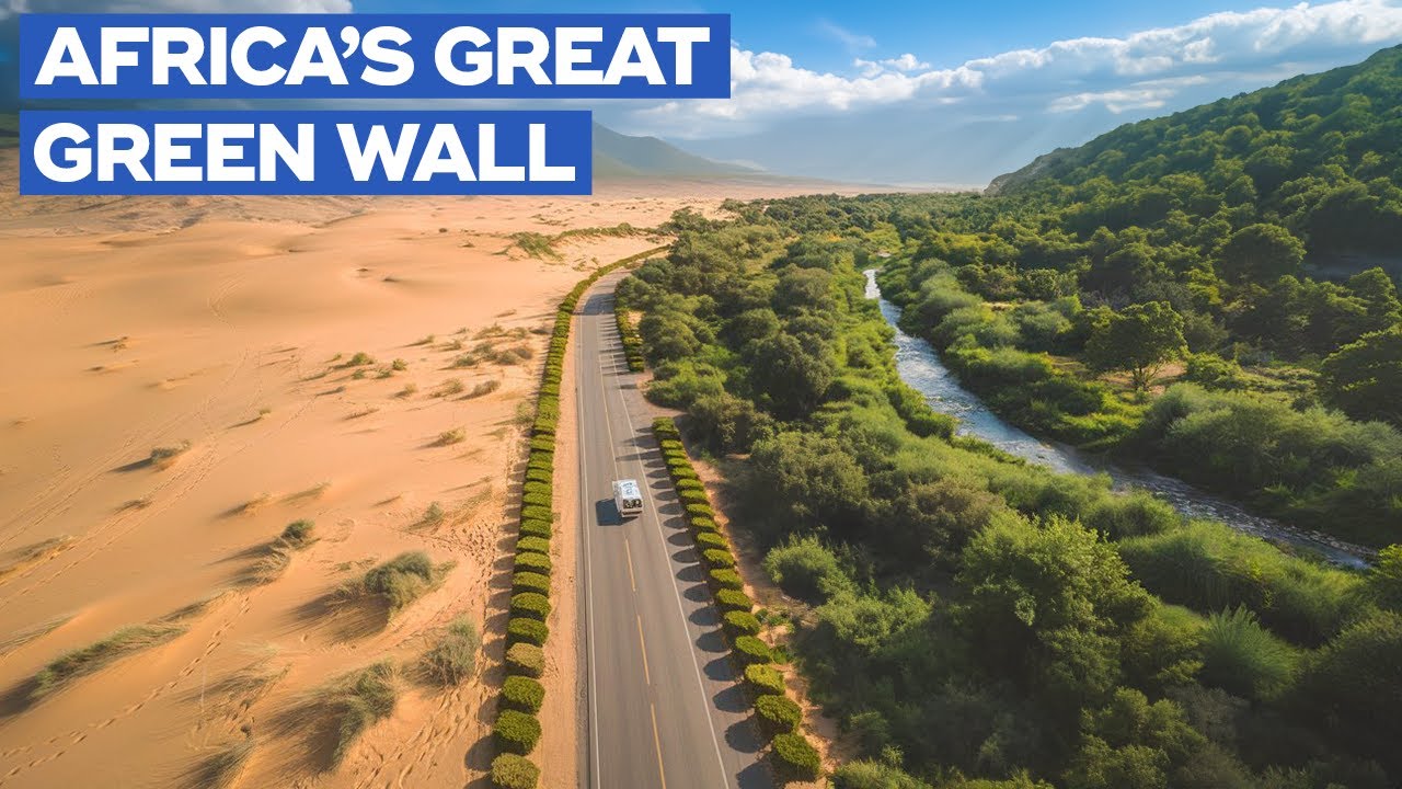 Africa’s 7,600km Mega Project to Stop the Desert in Its Tracks!
