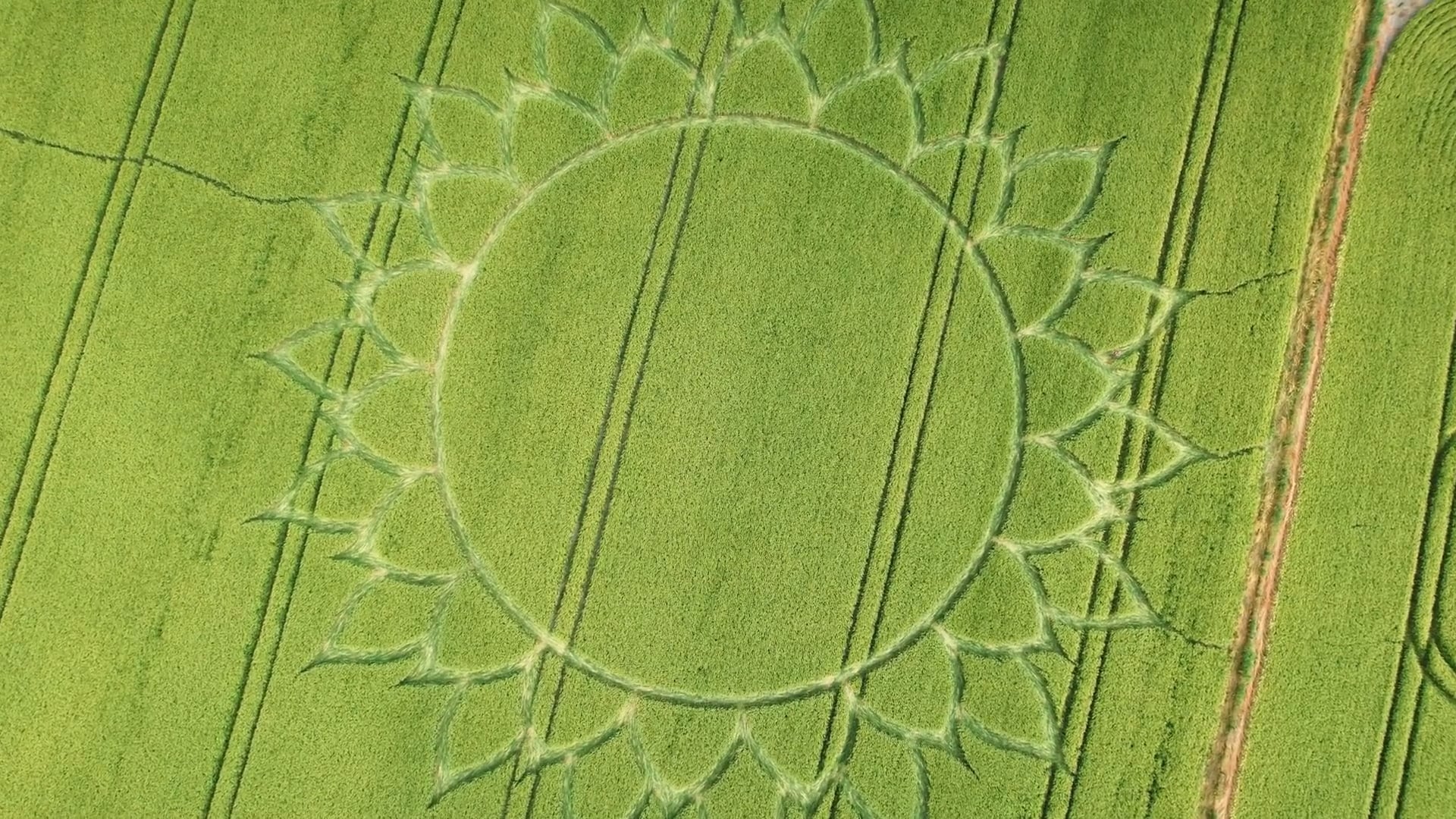 Patterns in the Harvest: Aerial Views of Crop Circle Mysteries - Worldwide