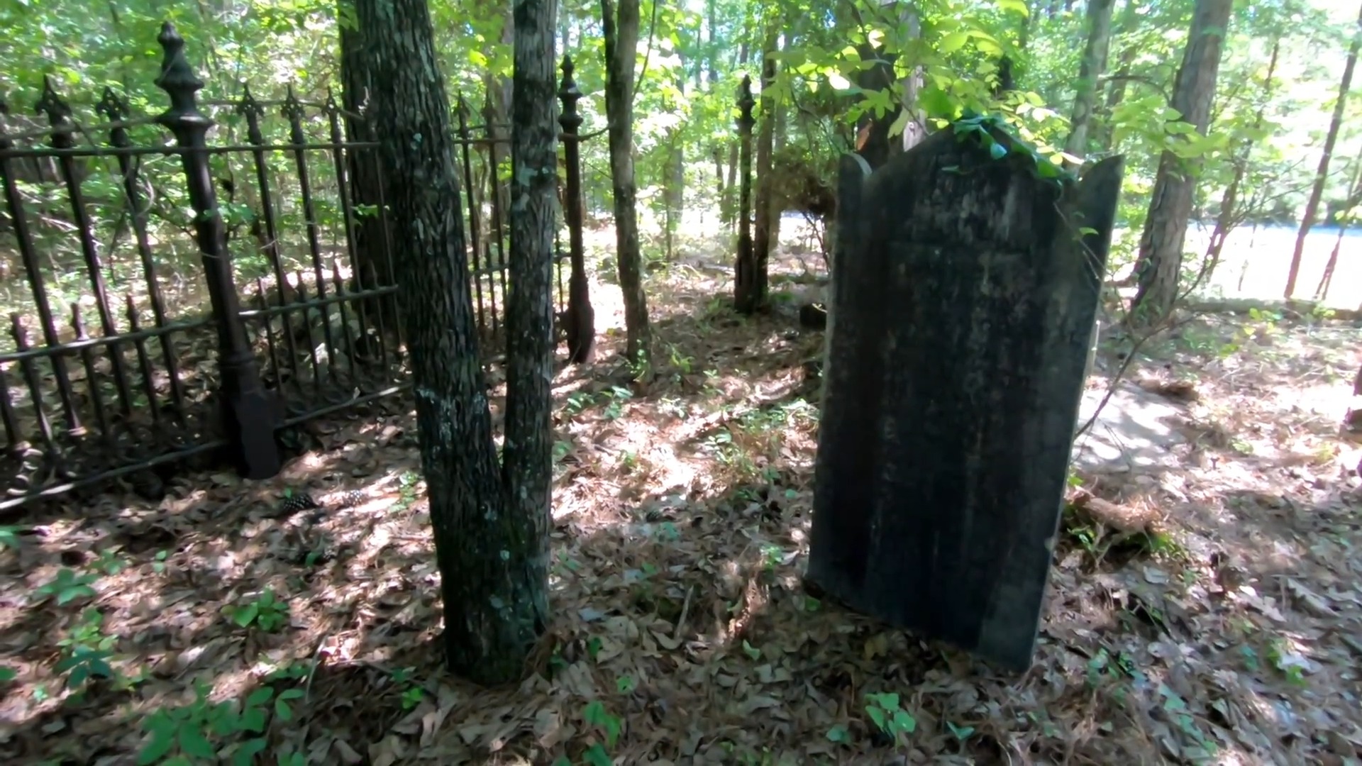 Why the Lost Graves of Soldiers and Slaves Still Haunt This Plantation