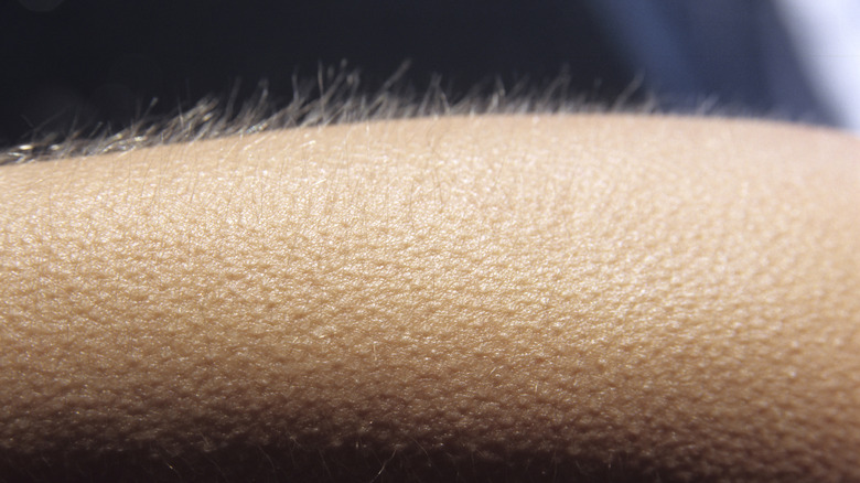The 'Useless' Body Part That Explains Why Humans Get Goosebumps