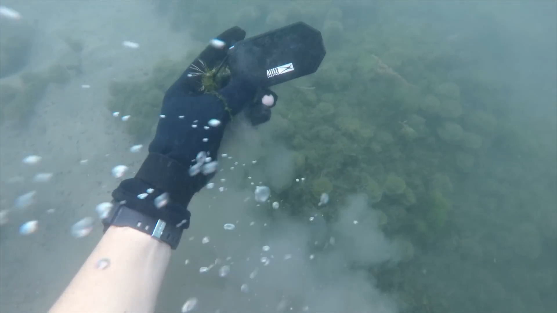 Underwater for a YEAR! Found iPhone 8 + Called the Owner