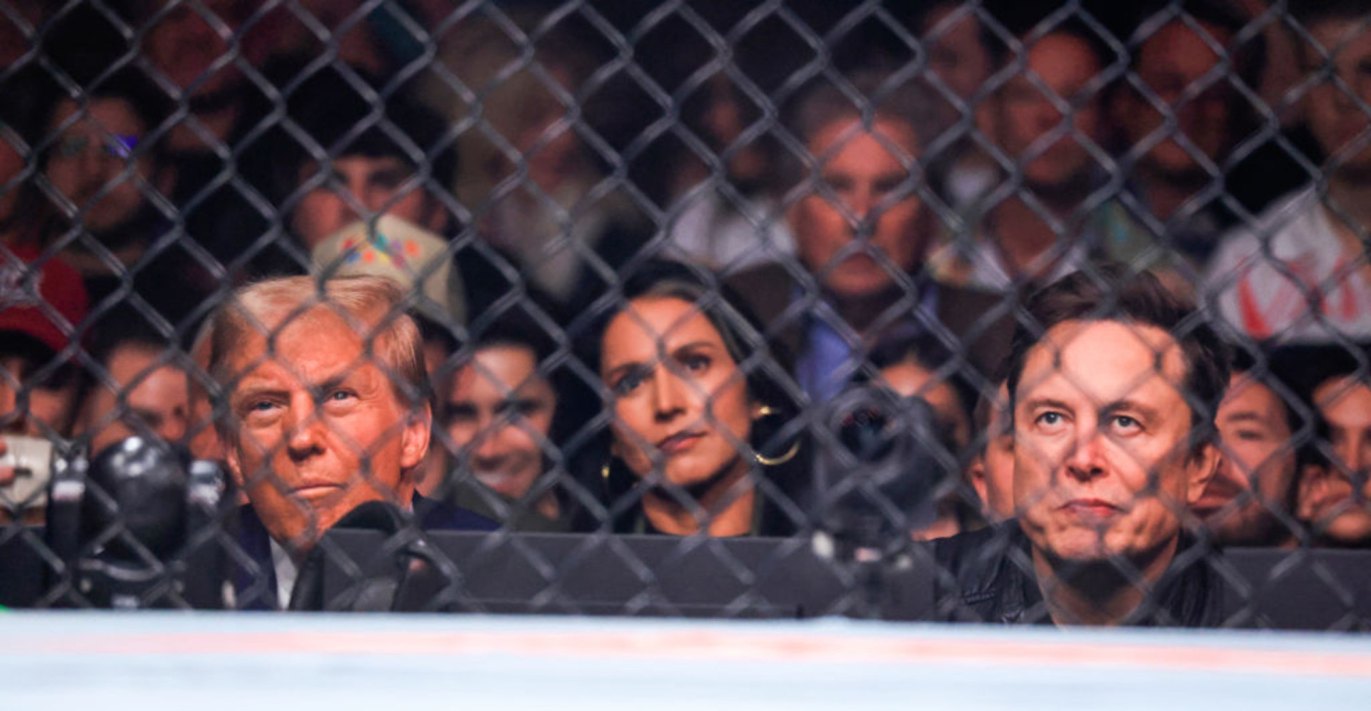 Elon Musk et Trump : comment sont-ils devenus ennemis